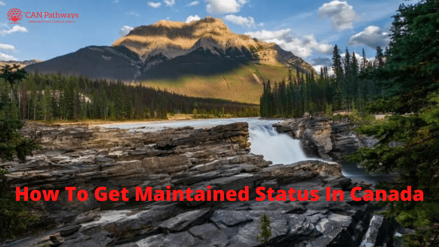 How to get maintained status in Canada - CAN Pathways